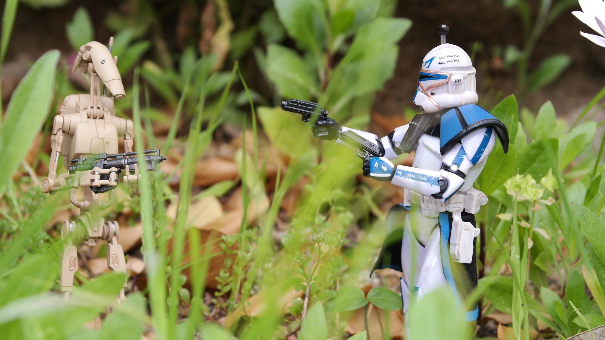 Black Series Review | Clone Captain Rex (Standard Release) - Future of ...