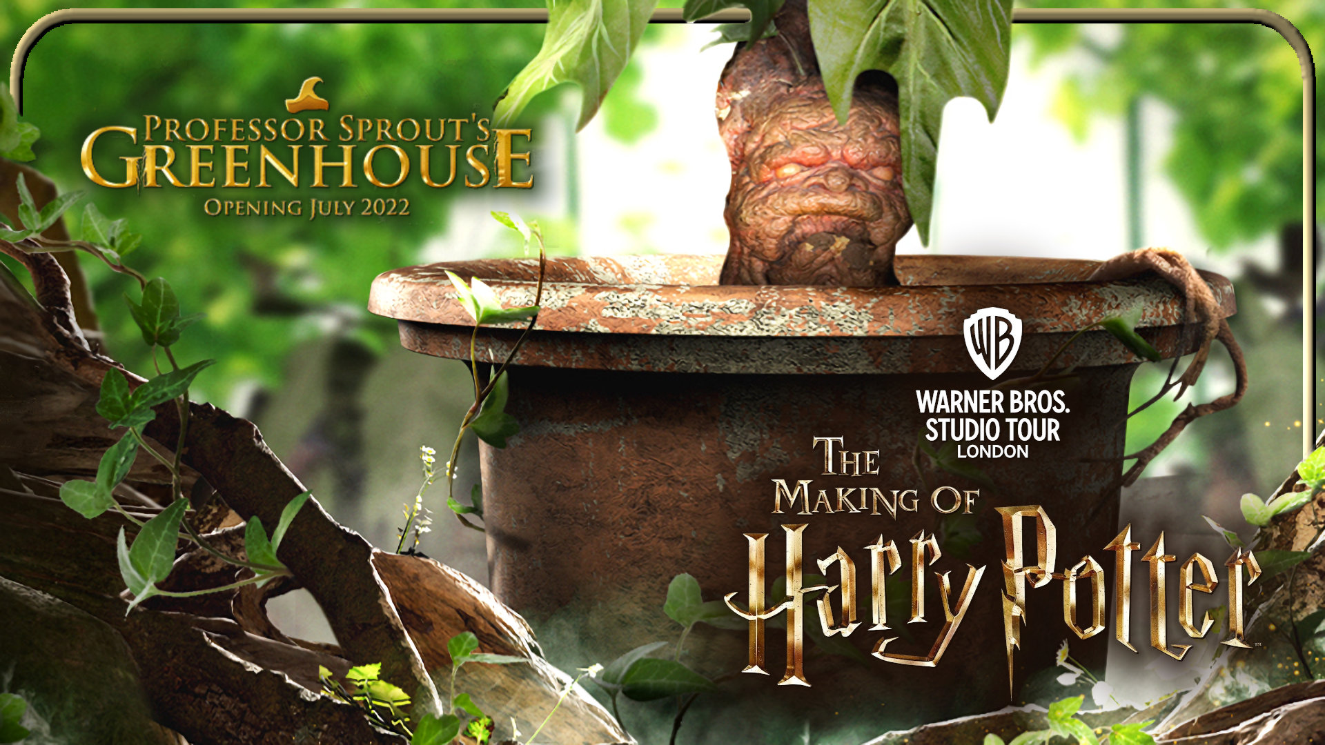 Step Into Professor Sprout's Greenhouse At The Harry Potter: Warner ...